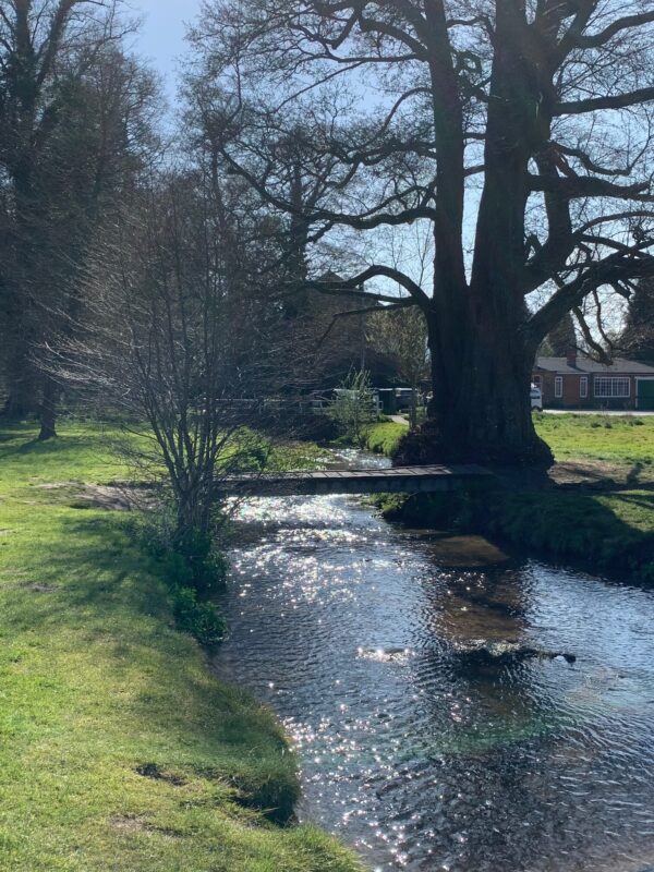 Tillingbourne Tales. Walk No 1: Chilworth and St Martha's | Mindfully ...